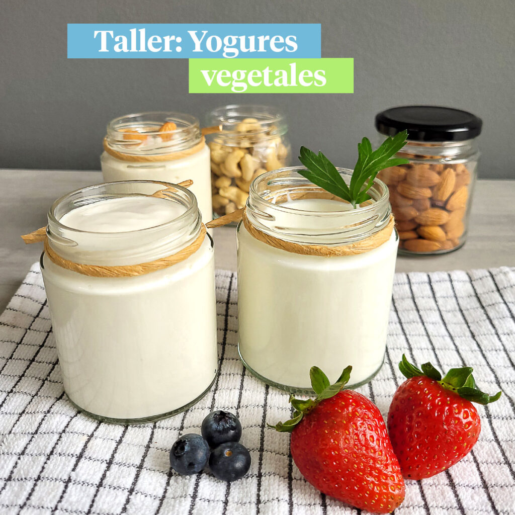 Taller online: Yogures Vegetales – Flora Interior